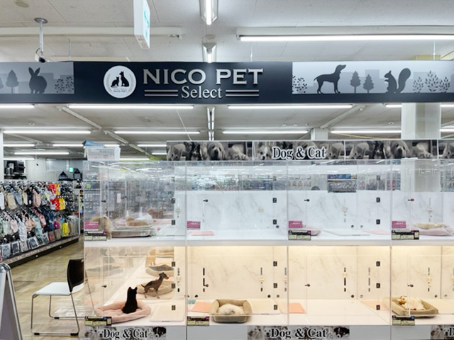 上尾店ビバペッツがペット専門店NICOPETにリニューアルしました。 | ホームセンター ビバホーム DIYからリフォームまで暮らしをもっと快適に！